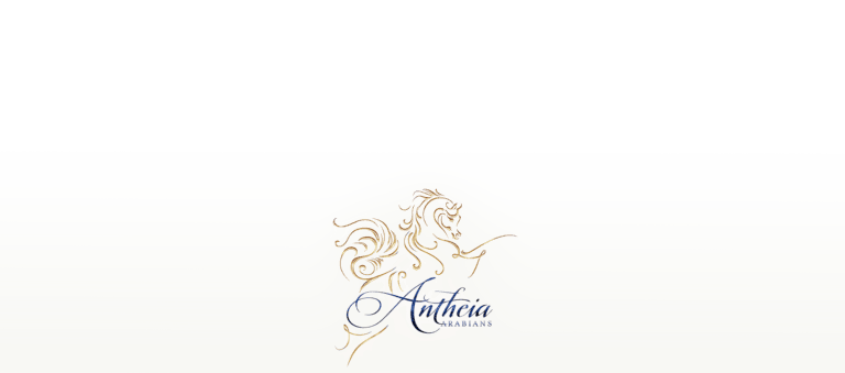 Antheia Arabians – Line-bred *Estopa Descendants